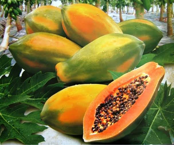 HEALTH BENEFITS OF PAPAYA LEAVES AND FRUIT (PAWPAW) | 24. Feb, 2022 ...