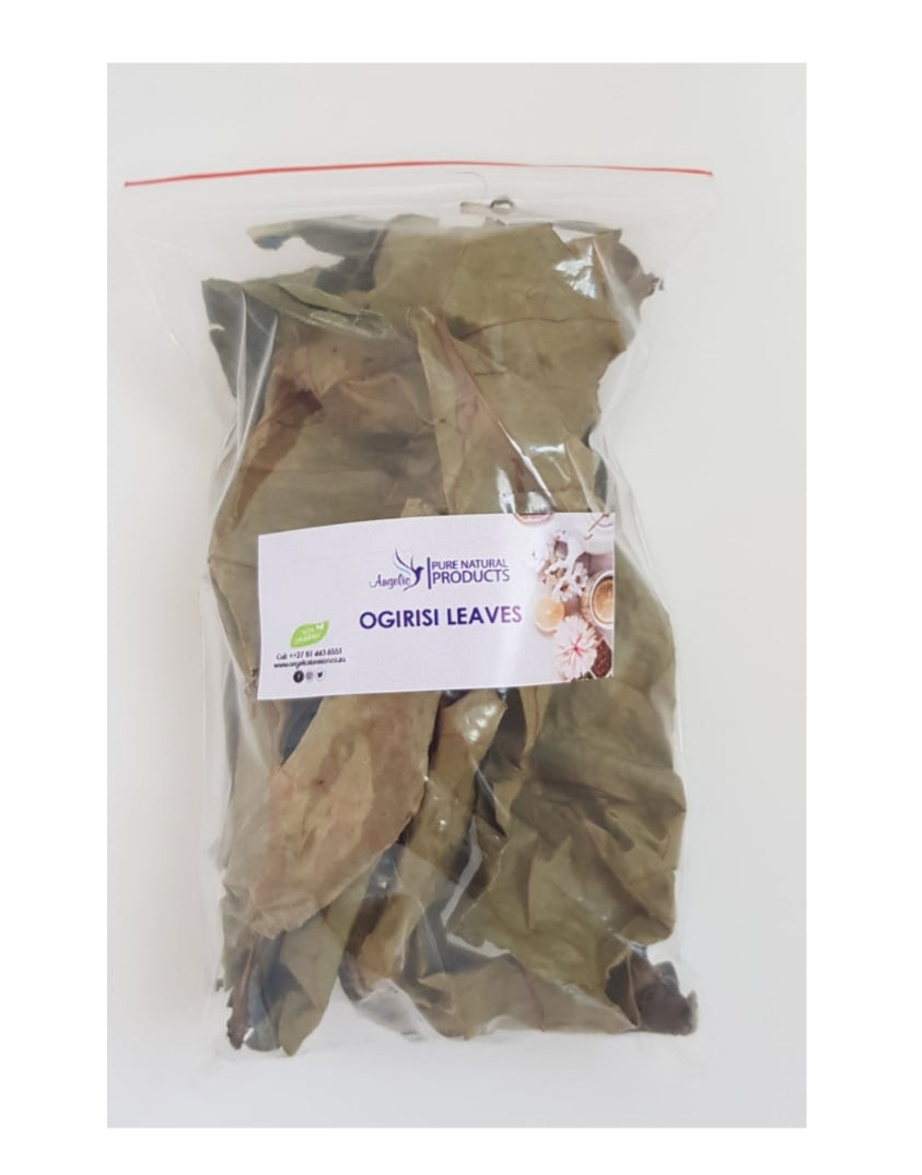 Neubouldia Laevis (Ogilisi) – angelicpurenaturalproducts