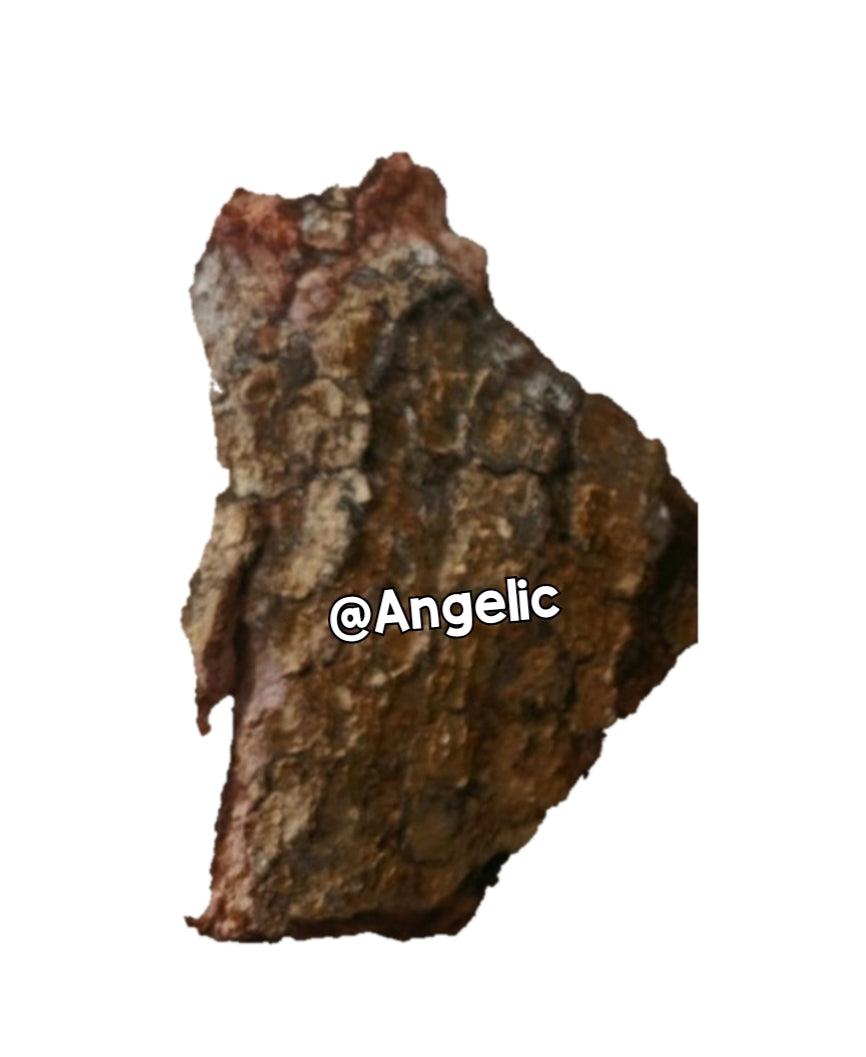 Anunuebe - Igi nla – angelicpurenaturalproducts