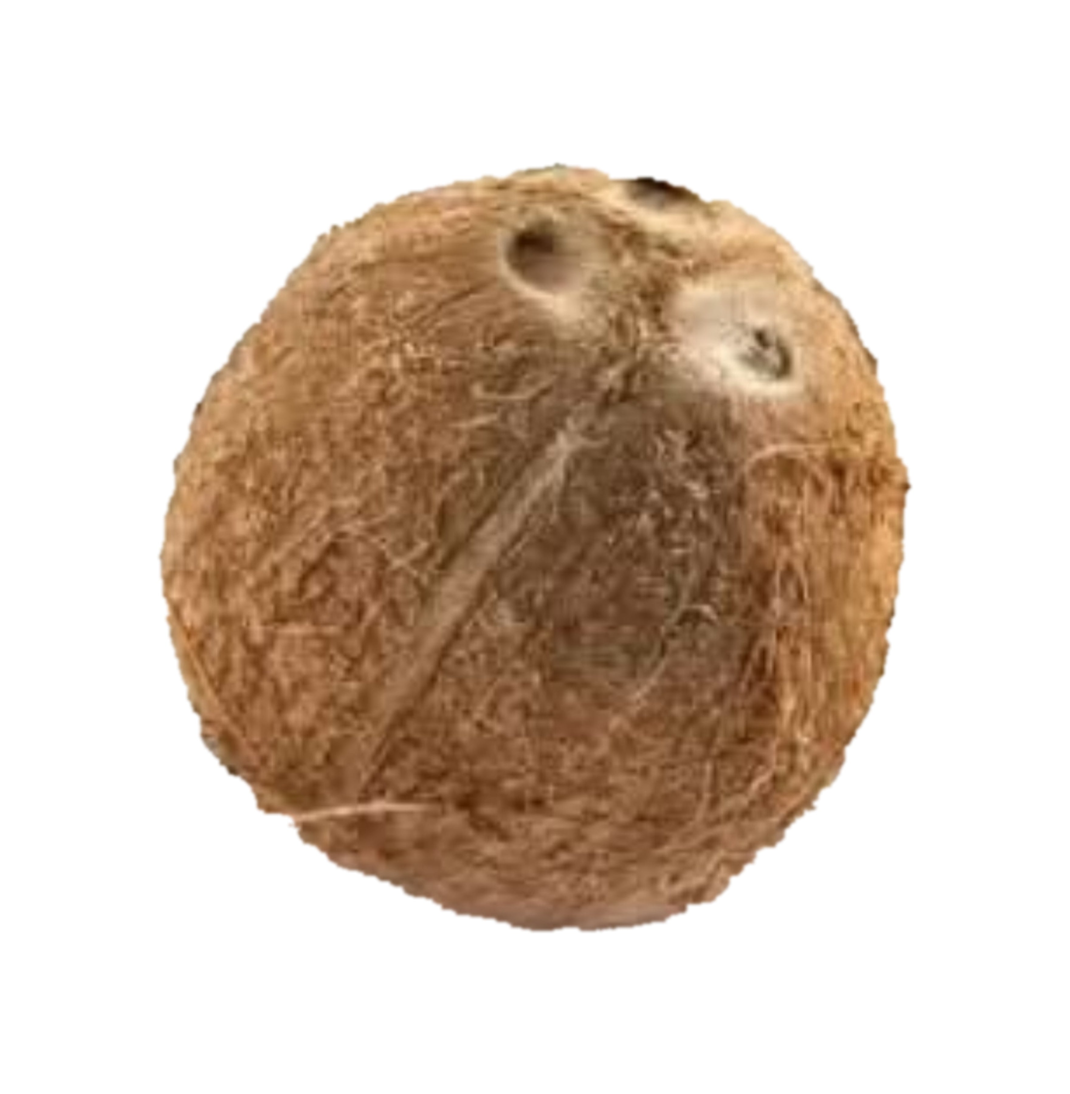 Fresh Coconut – angelicpurenaturalproducts