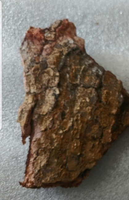 Epo Obo (Anti-witchraft Herb) – angelicpurenaturalproducts